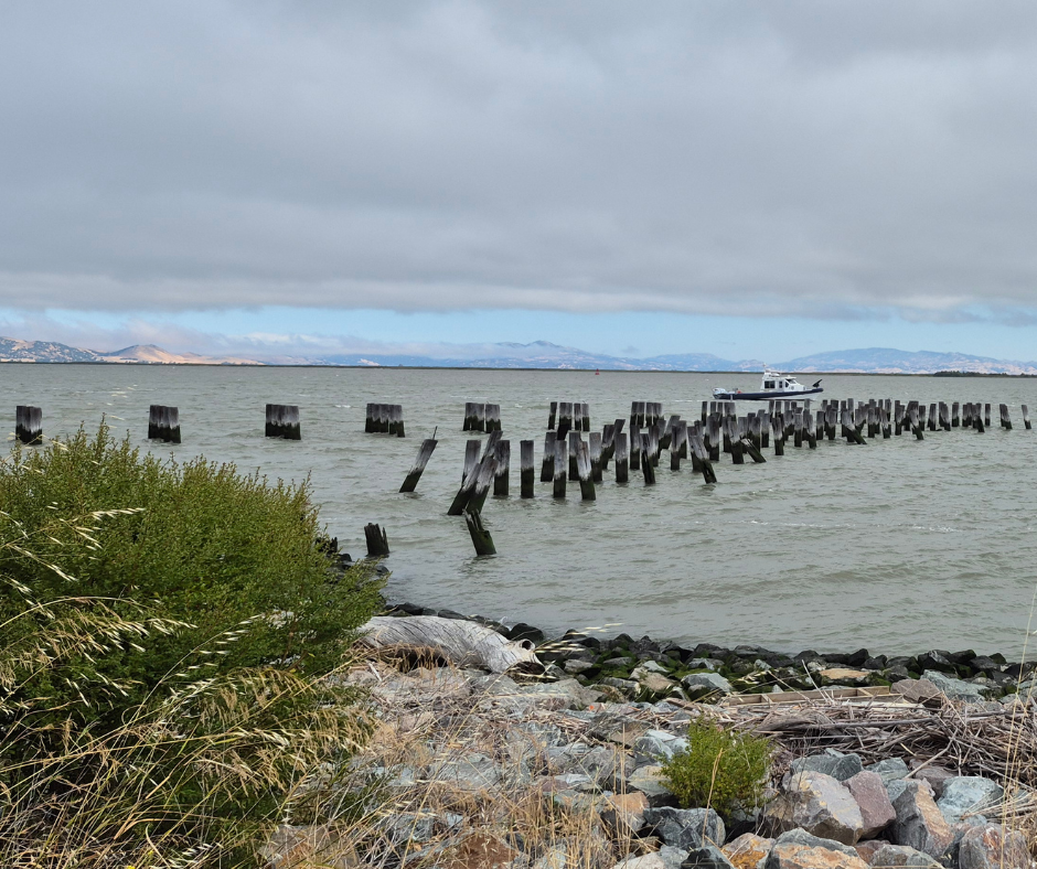 Remembering Port Chicago: Sentinels Guarding the Resting Places of Heroes