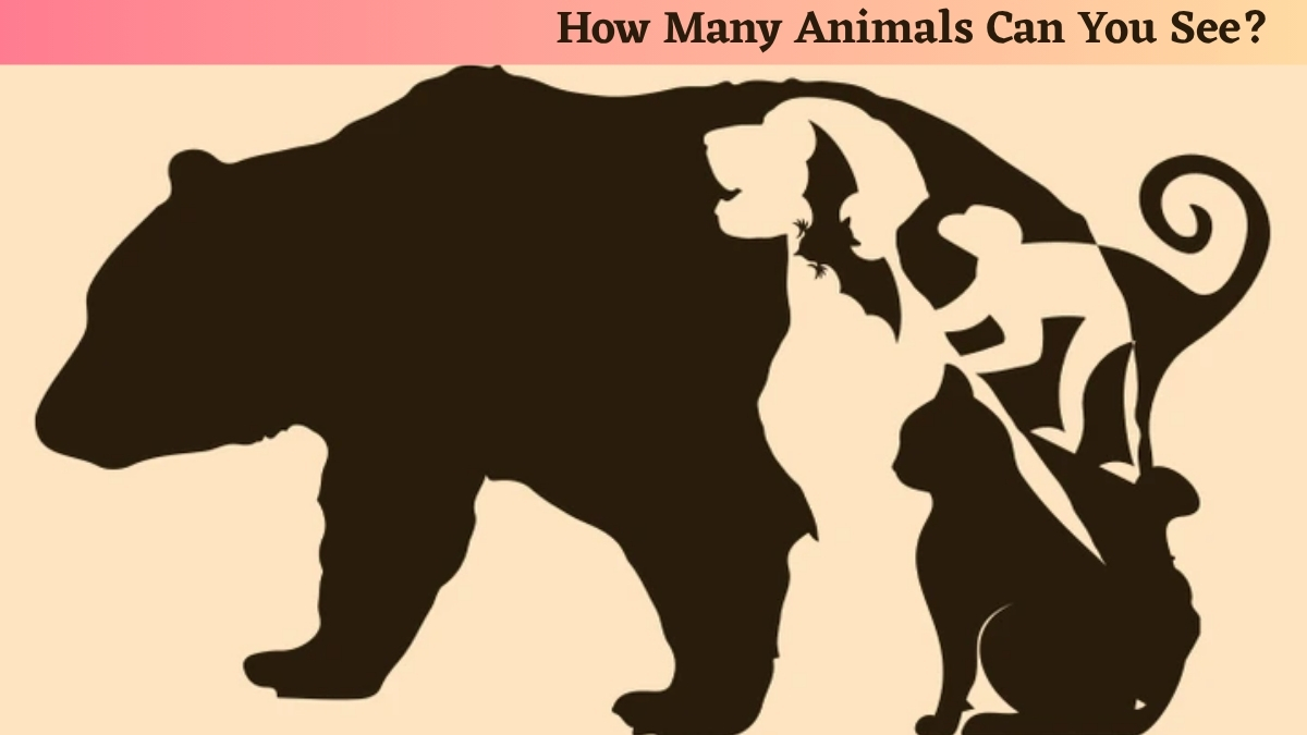Using Your Vigilant-Eye Vision, Try To Find Out How Many Animals You ...