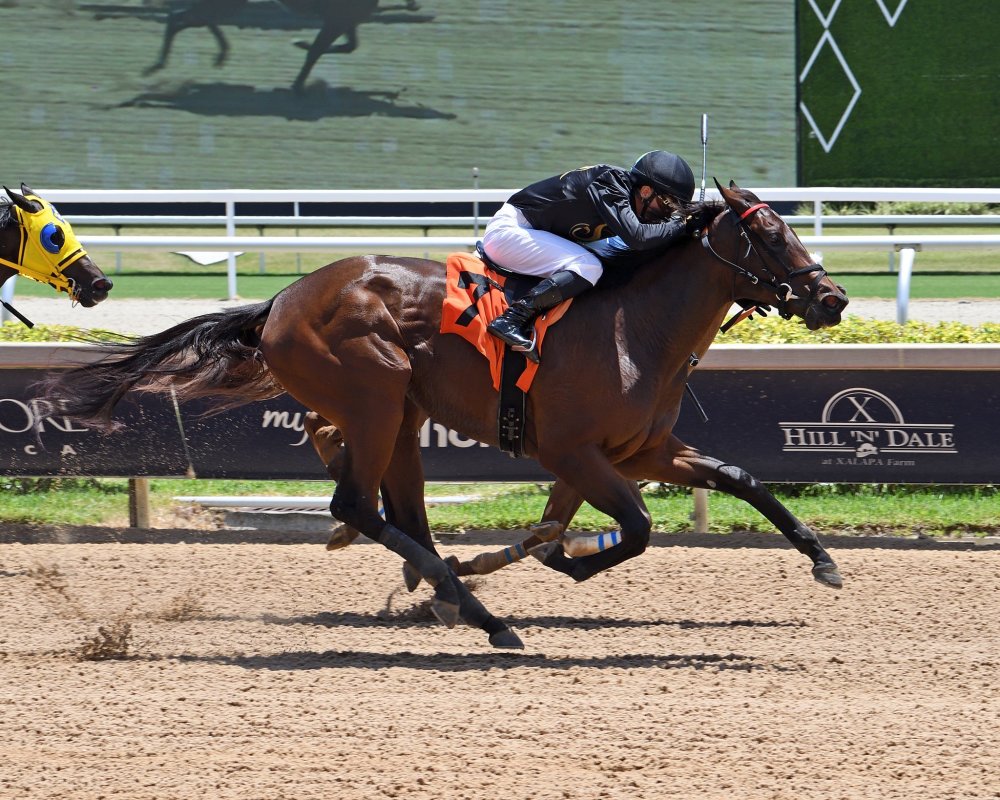 Nour Is First Starter And First Winner For Walmac’s Core Beliefs