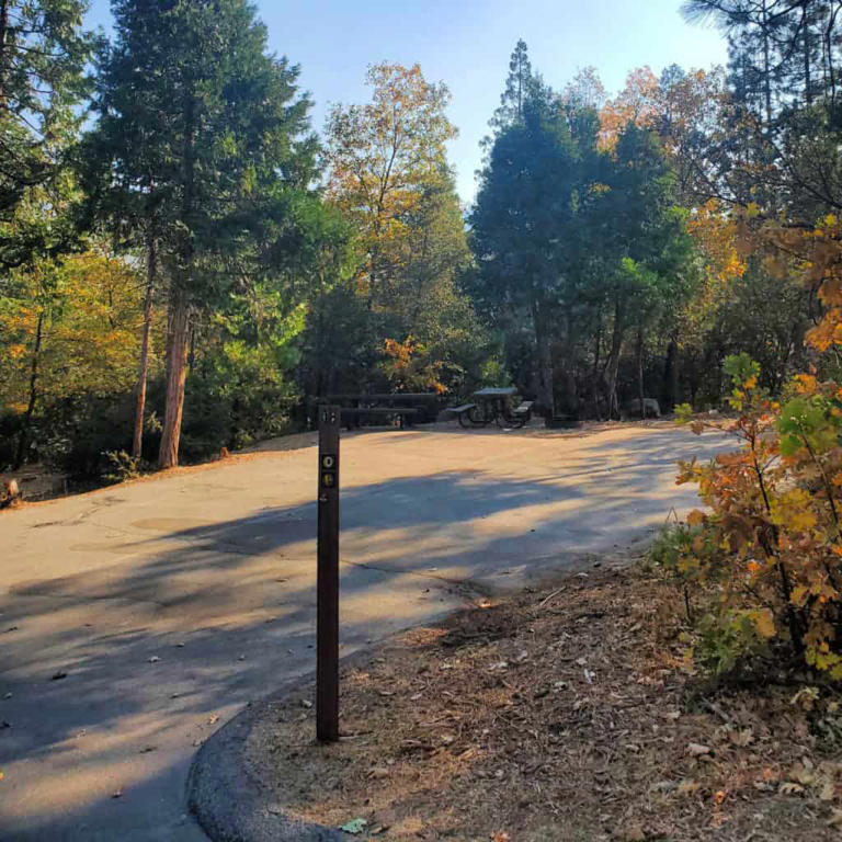 Cedar Bluff Campground - Bass Lake California