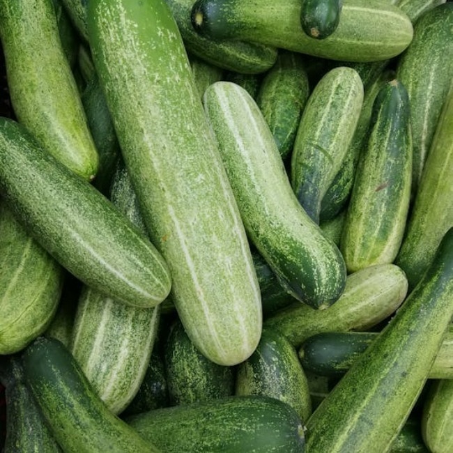 Struggling with High Uric Acid? These 7 foods can help