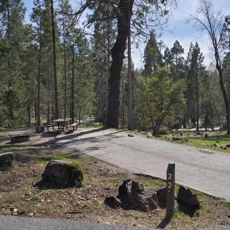 Forks Campground Bass Lake, California