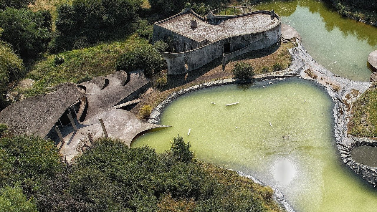 ABANDONED CULT MANSION | Hidden In The Woods - A Boy Was MURDERED HERE ...