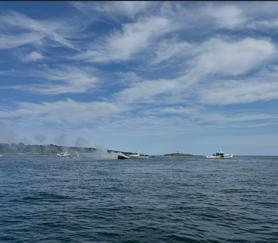 Man, dog rescued after lobster boat explosion in Maine