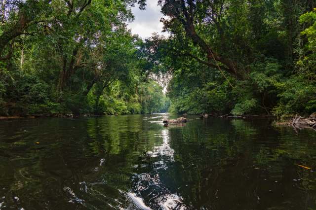 Officials issue warning over 'aggressive' fish species wreaking havoc in waterways: 'Can also ...