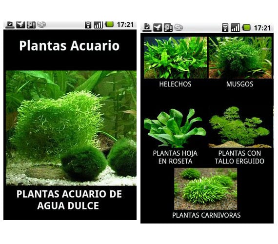 Las mejores aplicaciones de jardinería para Android: cuidado de plantas ...