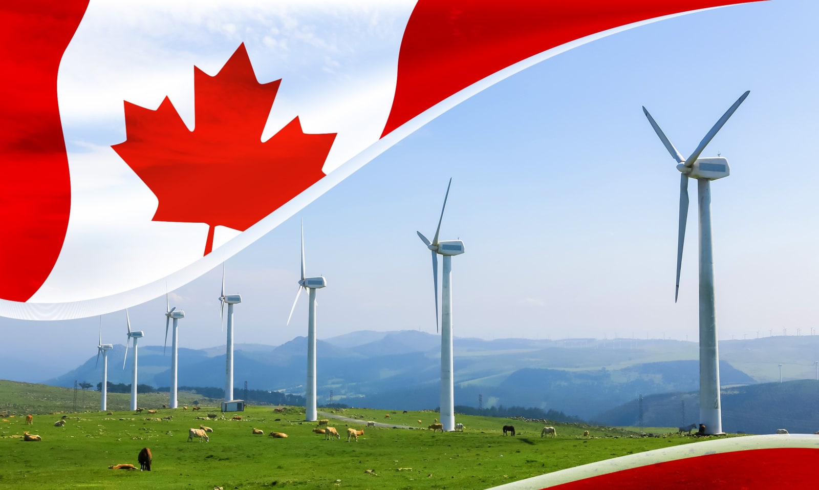 3 Best-performing Canadian Cleantech Stocks of 2025