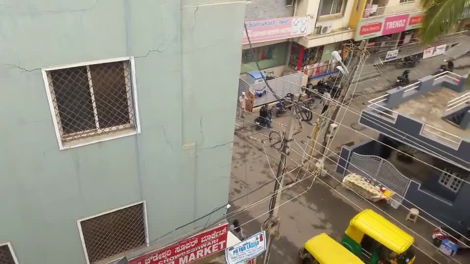 Monkey Falls off Wire