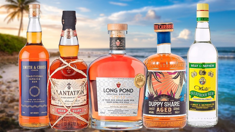 16 Jamaican Rum Brands, Ranked