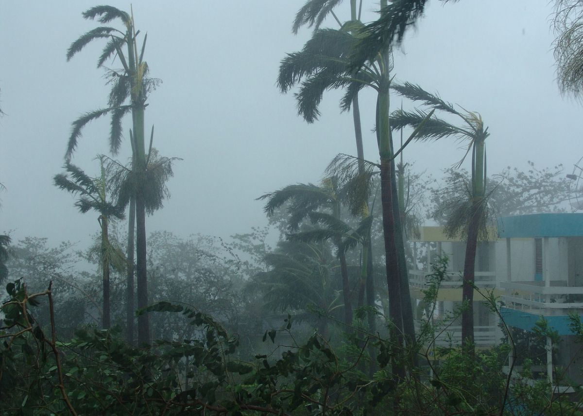 Weather: Strong winds expected to hit parts of SA