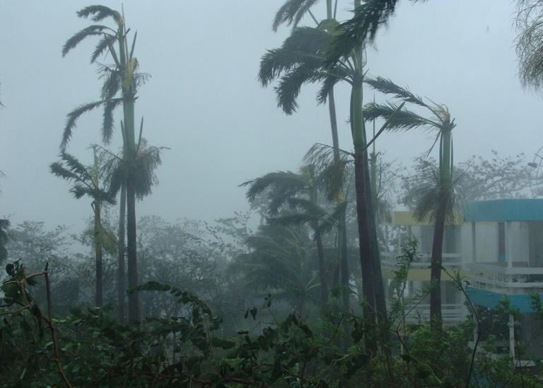 Weather: Disruptive rainfall, widespread flooding to hit parts of SA