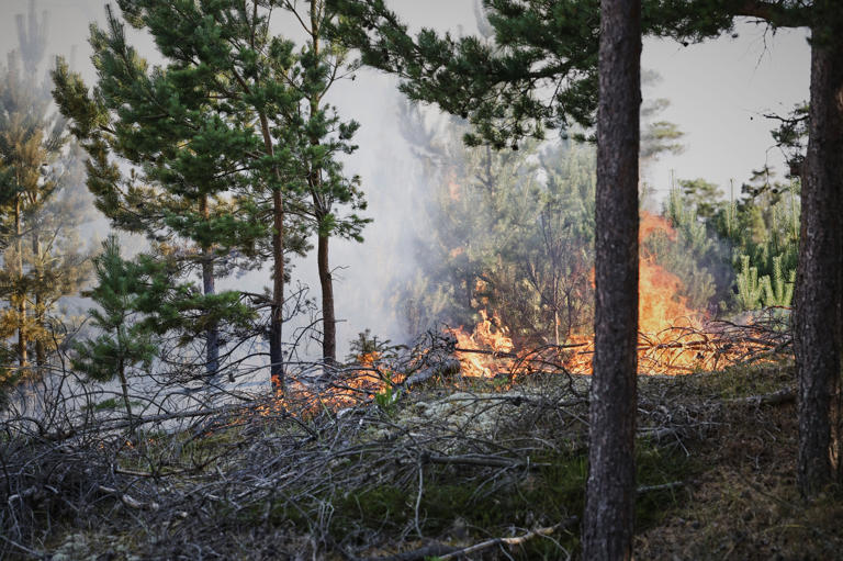 Ingen har henvendt sig med oplysninger om naturbrand i Skagen