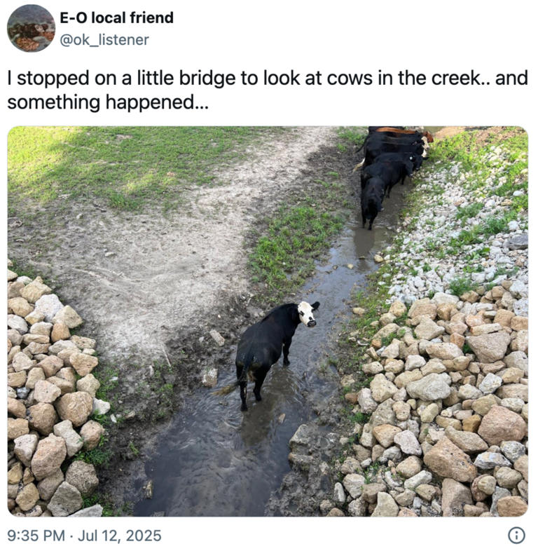 20 Of The Greatest, Most Wholesome Tweets From The Internet This Week ...