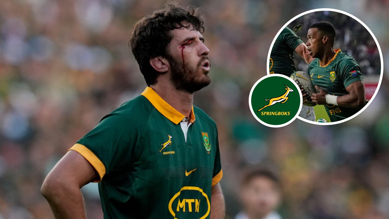 Springboks player ratings: Bomb Squad explodes at Mbombela as ‘mightily ...