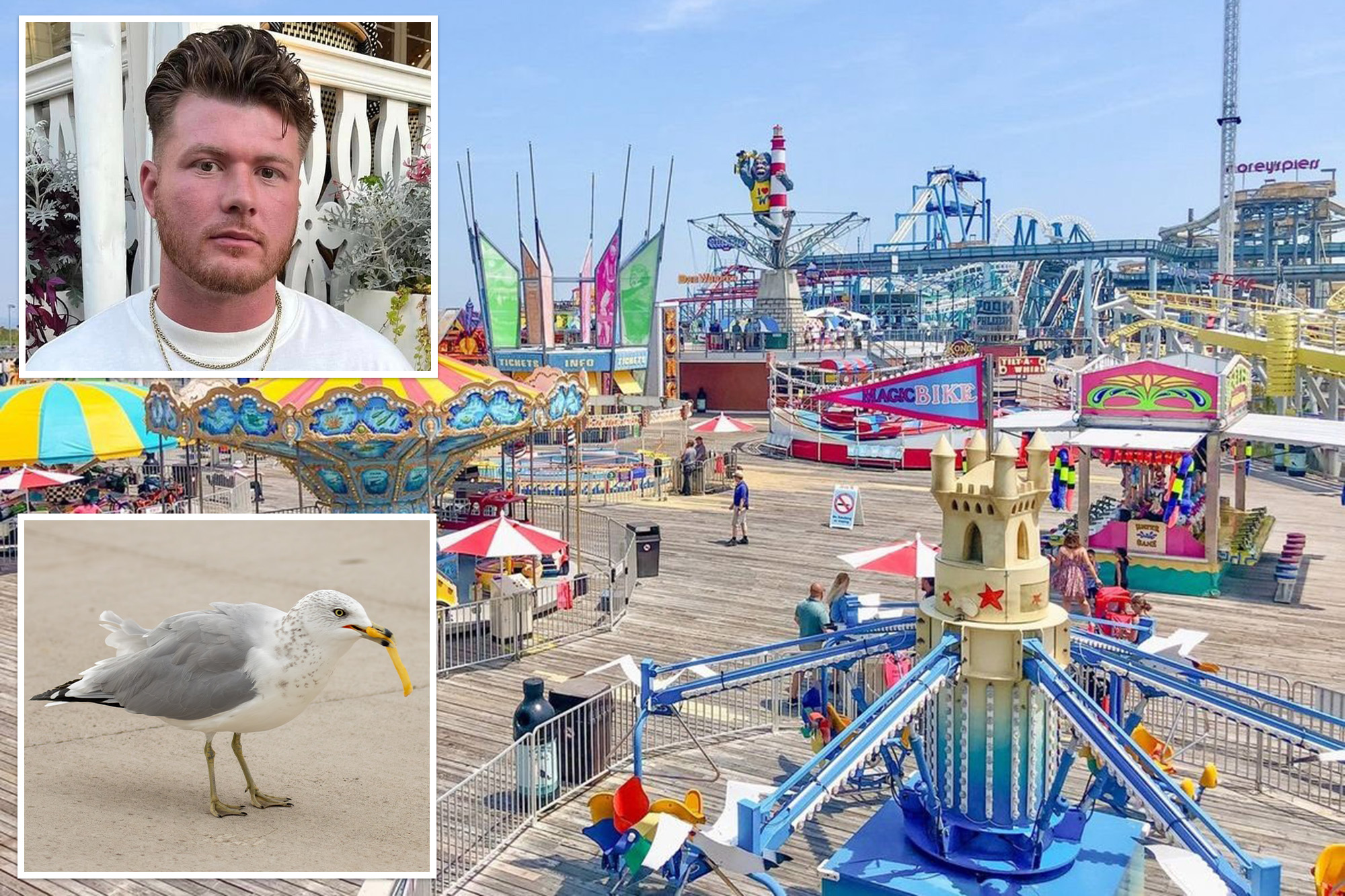 NJ man decapitates seagull that tried to steal French fry from daughter