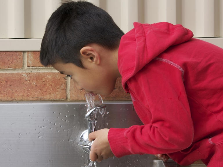 Environmental lawyers demand action on lead in school drinking water