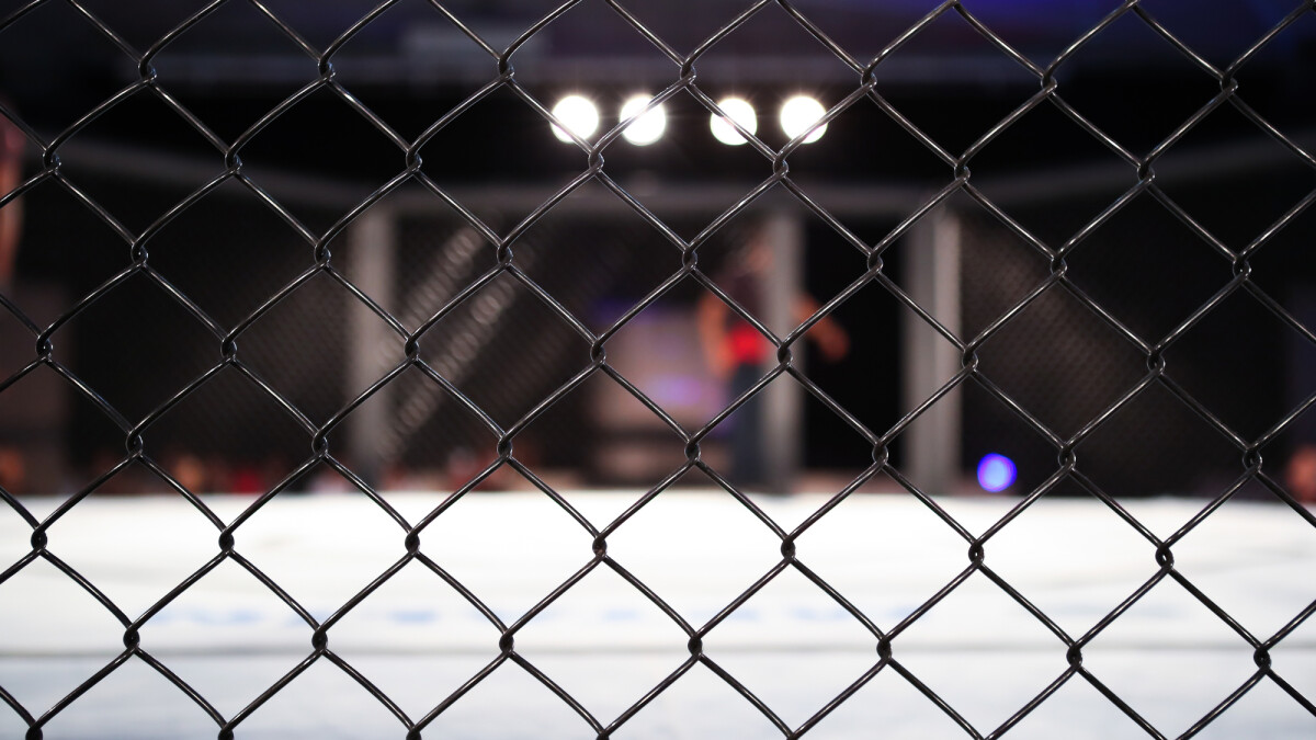 Della Maddalena vs. Makhachev im Live-Stream: So seht ihr UFC 322 auf ...