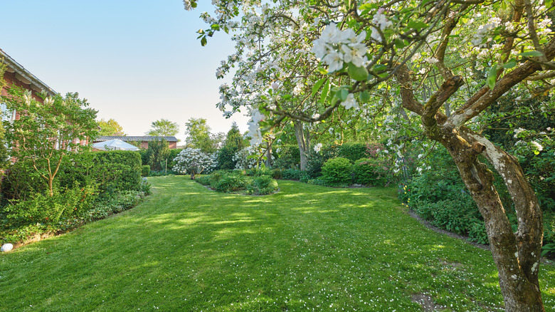 10 Yard Features That Are Ruining The Appearance Of Your Home