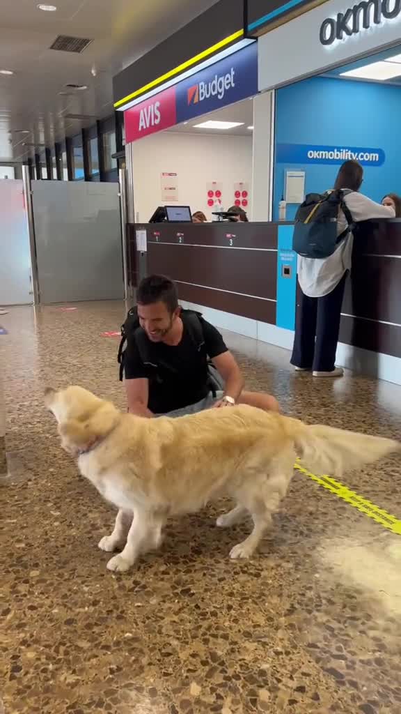 Heartwarming Airport Reunion: Dog and Owner Embrace After 2 Months