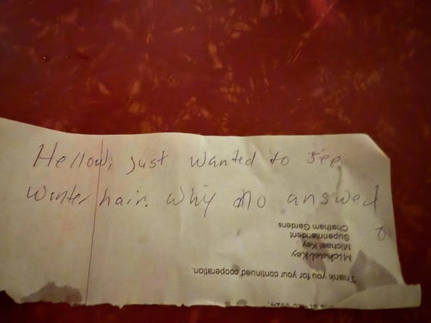 17 People Who Found Something Weird, Inexplicable, Or Downright ...