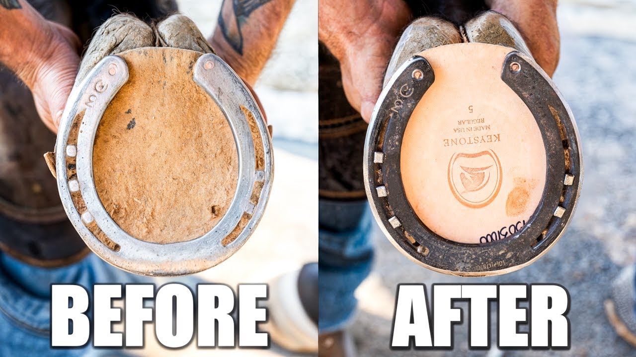 Satisfying Hoof Restoration in 4K! | Farrier ASMR