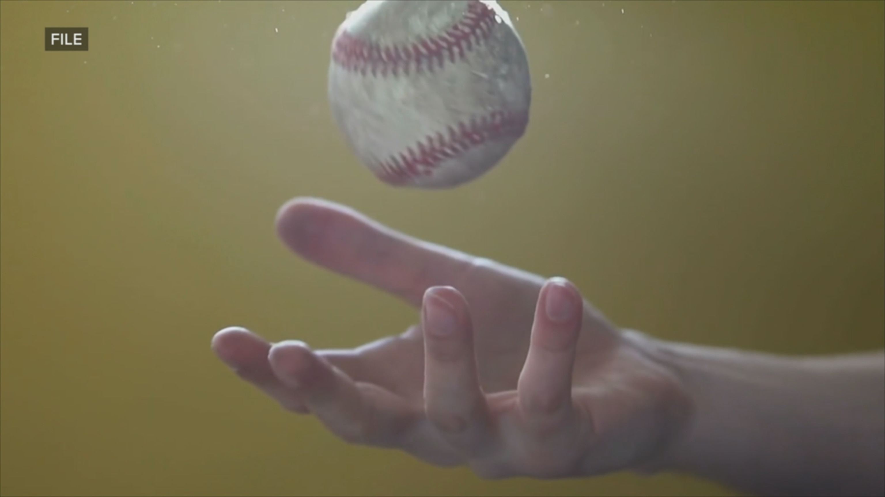 New Jersey: The birthplace of baseball