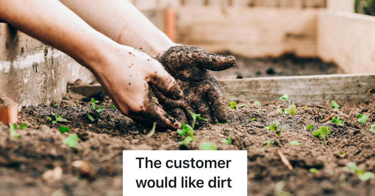 A Customer Makes A Vague Request For “Dirt” And Expects A Cashier To ...