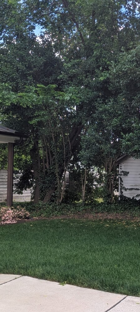 Homeowner distressed after noticing troubling trespassing trend on ...