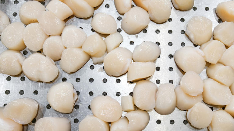 The One Step To Never Skip With Scallops