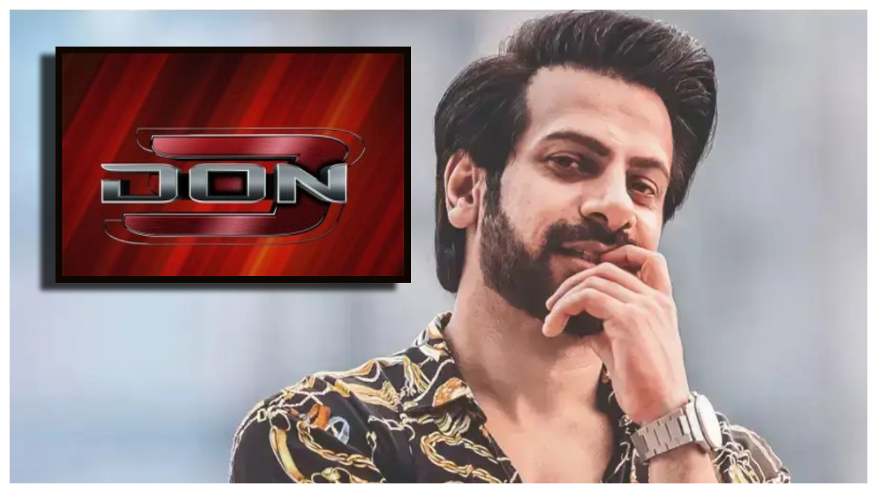 'Don 3' update: Karan Veer Mehra to play the antagonist in the Ranveer ...