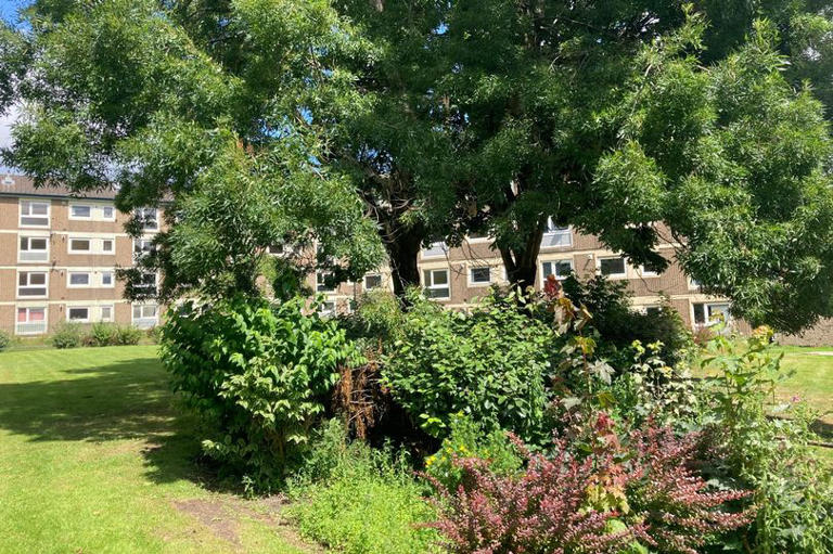 'Our little oasis in the middle of what looks like Alcatraz'