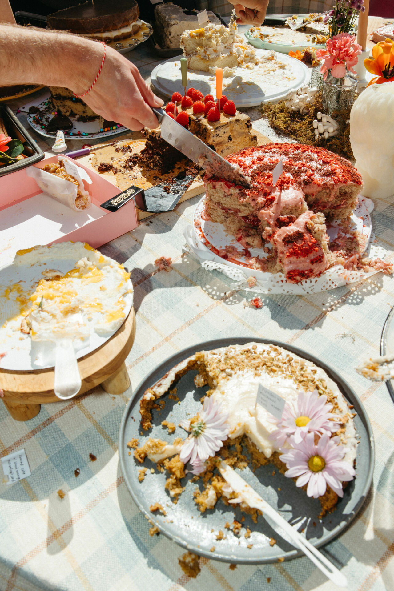Missed the big London Cake Picnic? Here’s everything we know about the ...