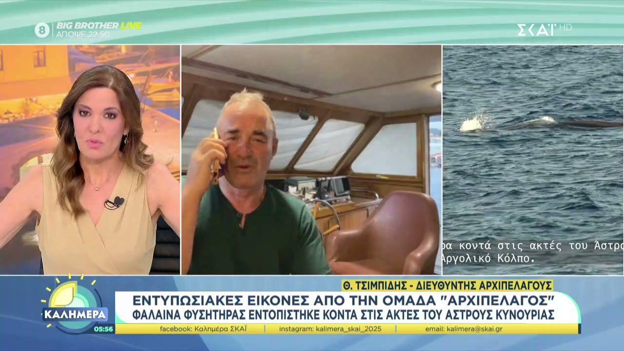 Εντυπωσιακές εικόνες από την ομάδα “Αρχιπέλαγος” – Φάλαινα φυσητήρας ...