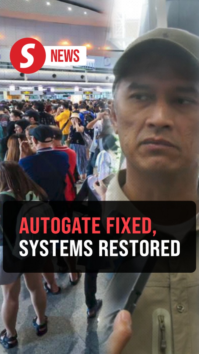 Over 380,000 people affected by autogate glitch at BSI CIQ Complex