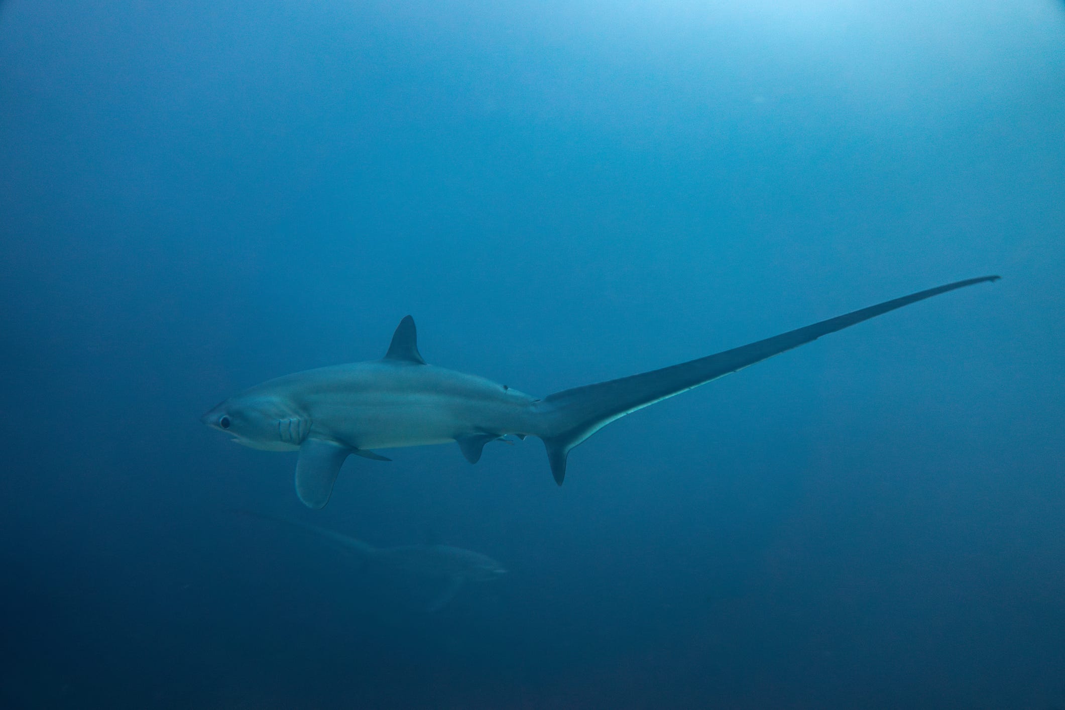 Poetry from Daily Life: Not every word is worthy of inclusion in your poem