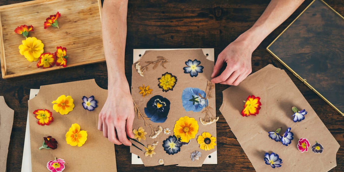 How to press flowers at home: The ultimate beginner's guide