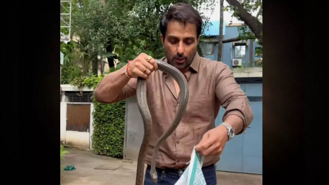 Actor Sonu Sood picks and rescues a rat snake with his bare hands: What ...