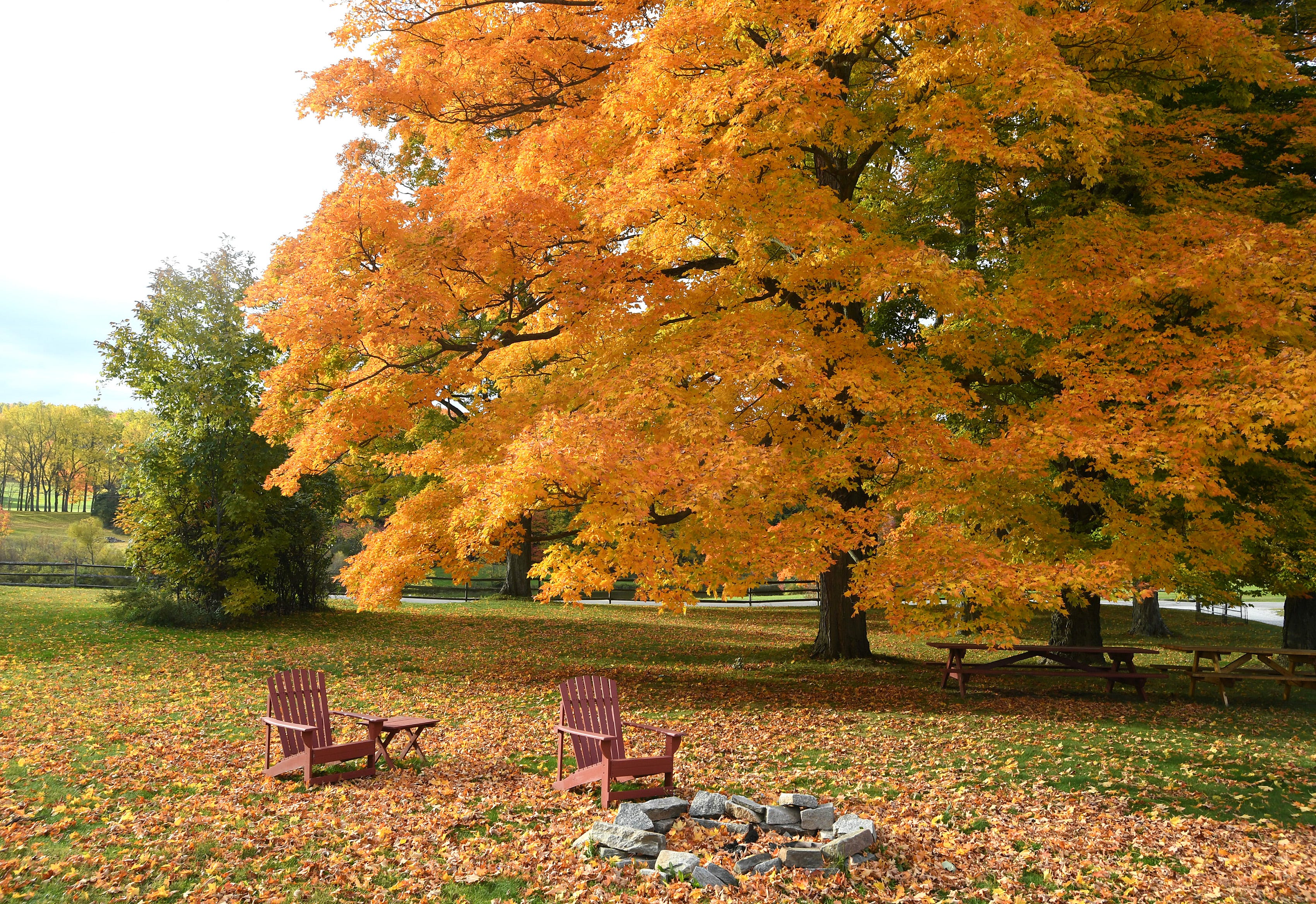 A hot summer is over. What will fall weather be like in Erie, Pa.?