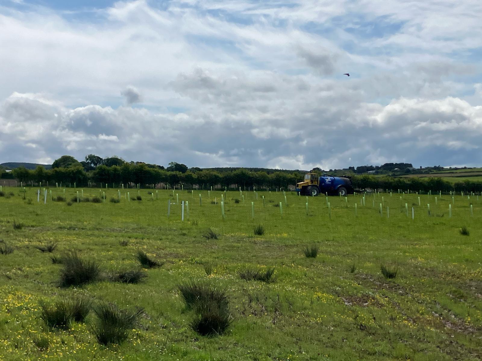 Removing trees from farms is why our soil is struggling - agroforestry ...