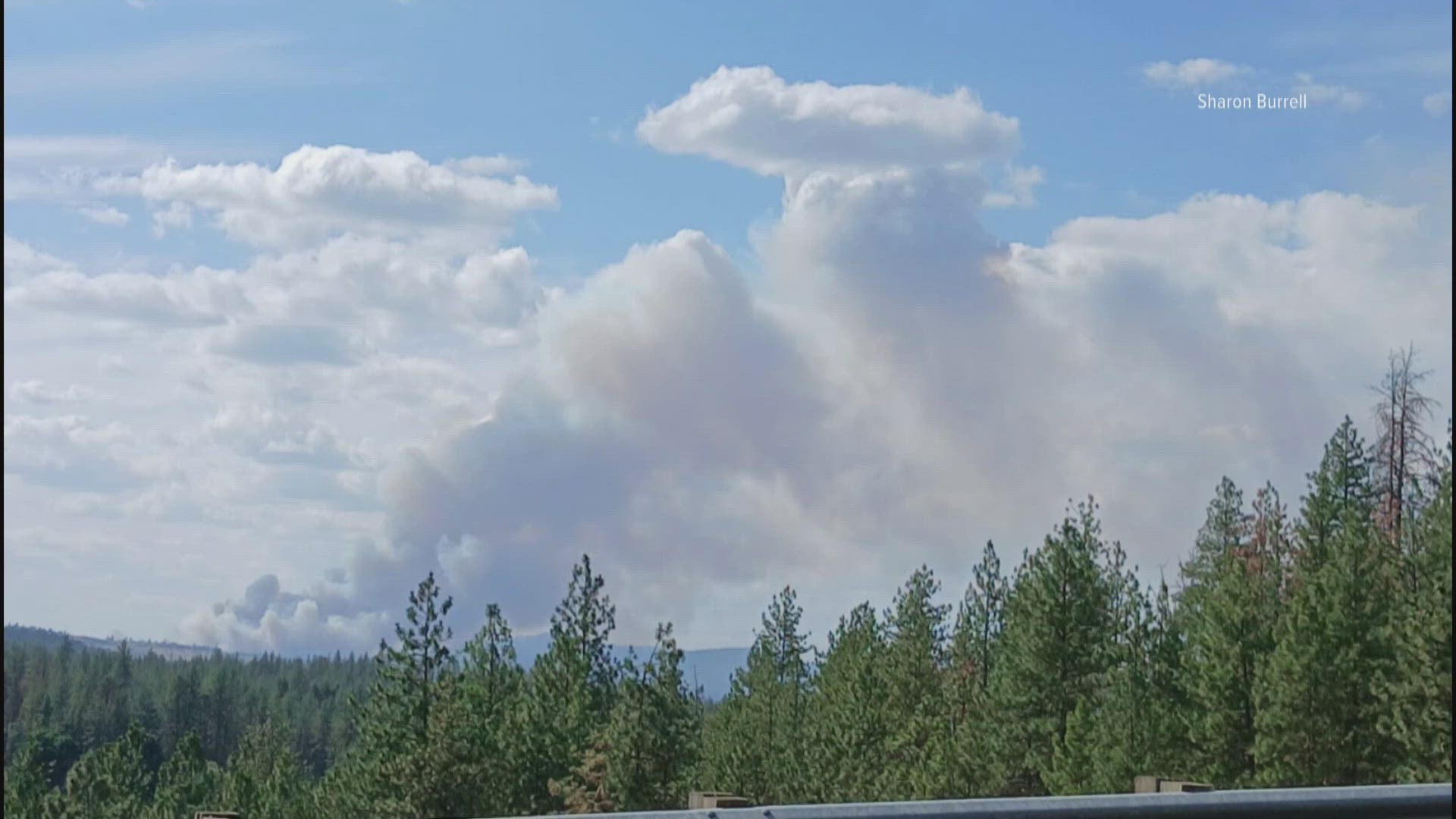 Evacuations in place for wildfire burning over 250 acres near Red Lake