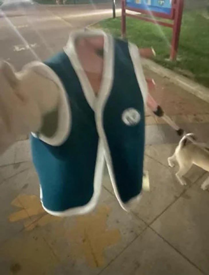 30 Everyday Photos That Are Funnier Than They Should Be