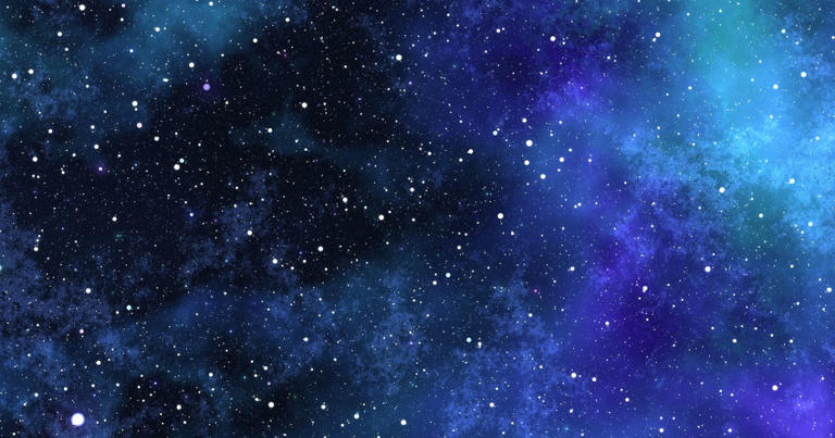 Aclareo en jardinería: por qué, cuándo y cómo hacerlo correctamente