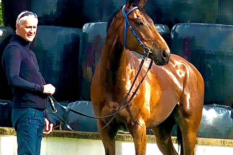 Ex-jockey unable to sleep after helping children in Minehead bus crash