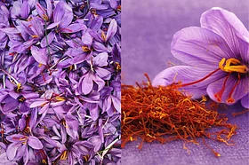Why is saffron considered nature’s antidepressant, and how to add it to ...