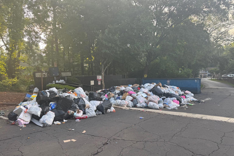 America's hot garbage summer bites