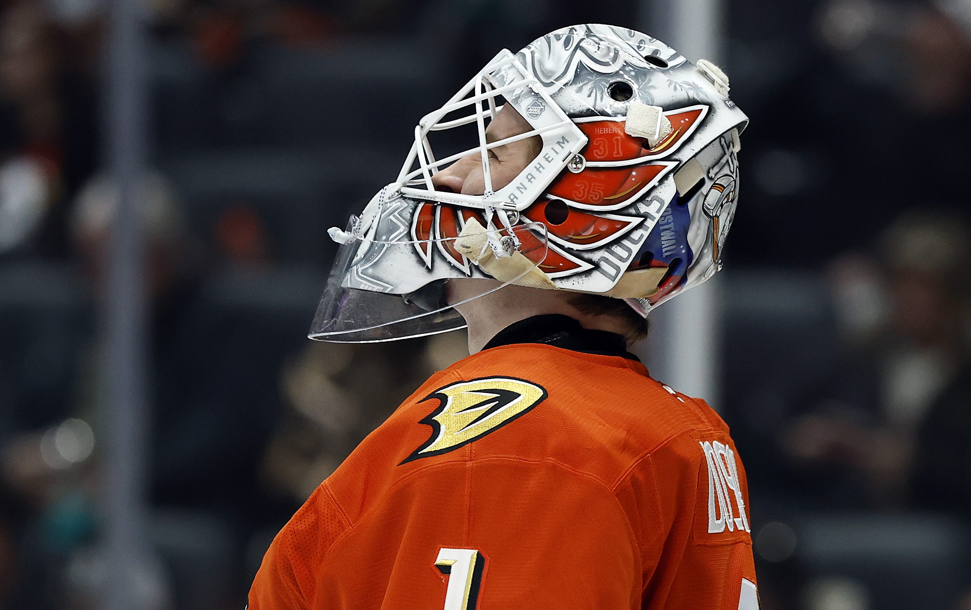 Elite Goaltender Sends Ducks Fans Message After Signing