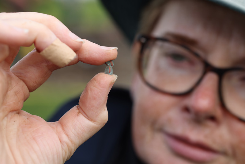 Irish archeologists reveal an ancient nobles' ringfort from Early ...