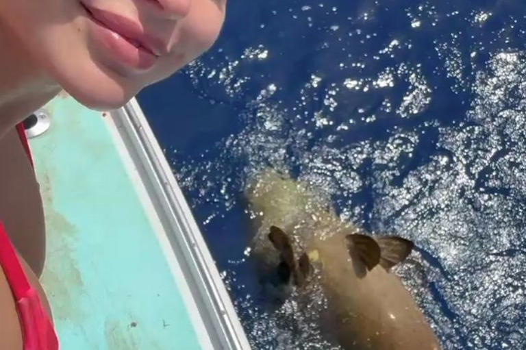 Social media star Emily Rinaudo warns fans they need to 'toughen up ...