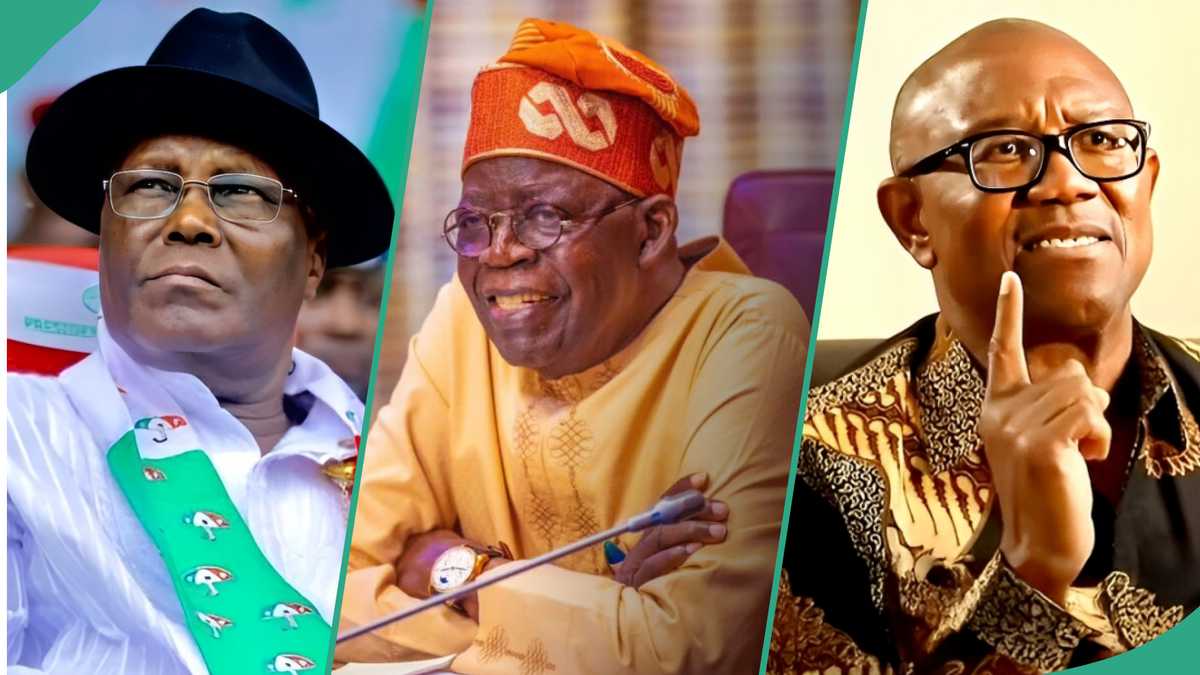 Atiku vs Peter Obi: Top analyst predicts winner of ADC presidential ...