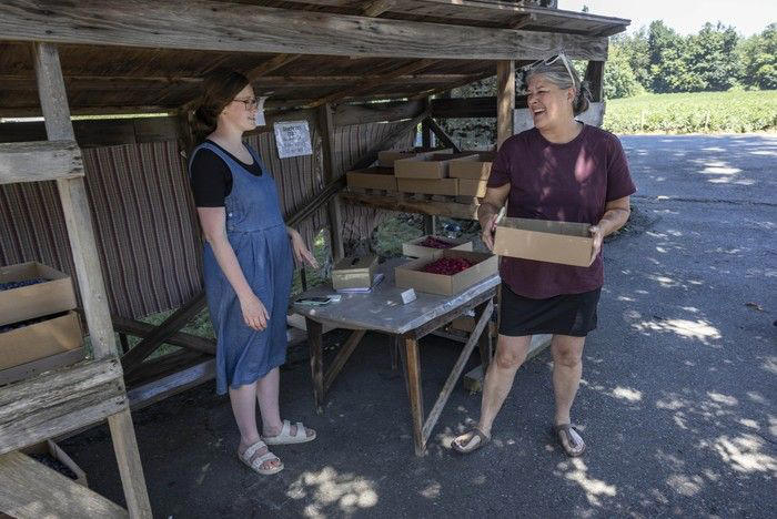Driven by demand for local food, 'on-farm shopping' grows in B.C.